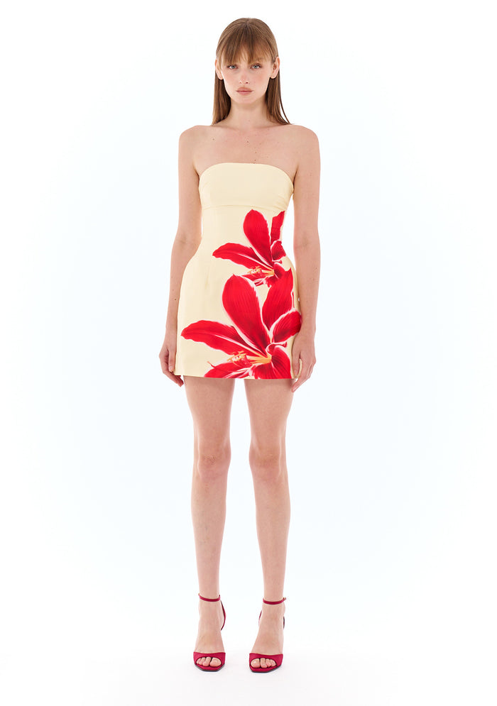 BRENDA | ברנדה | Fashion brand